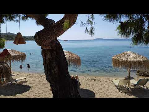 Isla Beach Bar - 2020.08.30 - YouTube