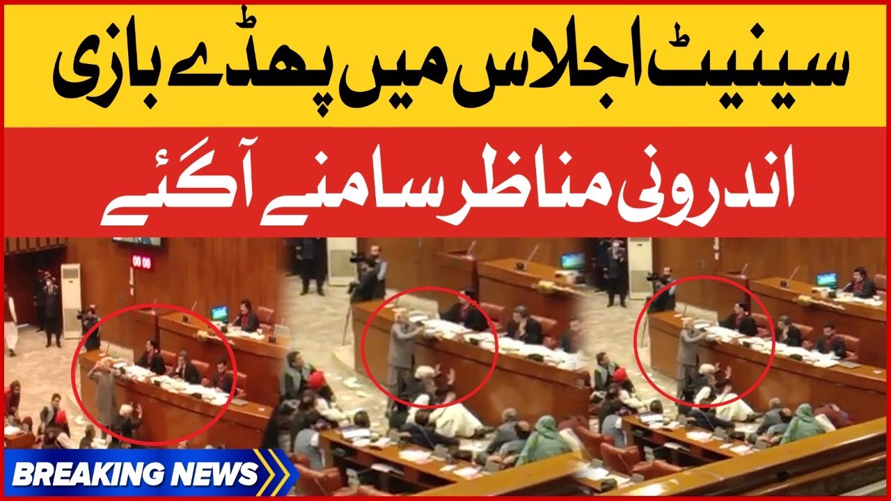 Fight In Senate Session | Opposition vs Government | Exclusive Footage ...