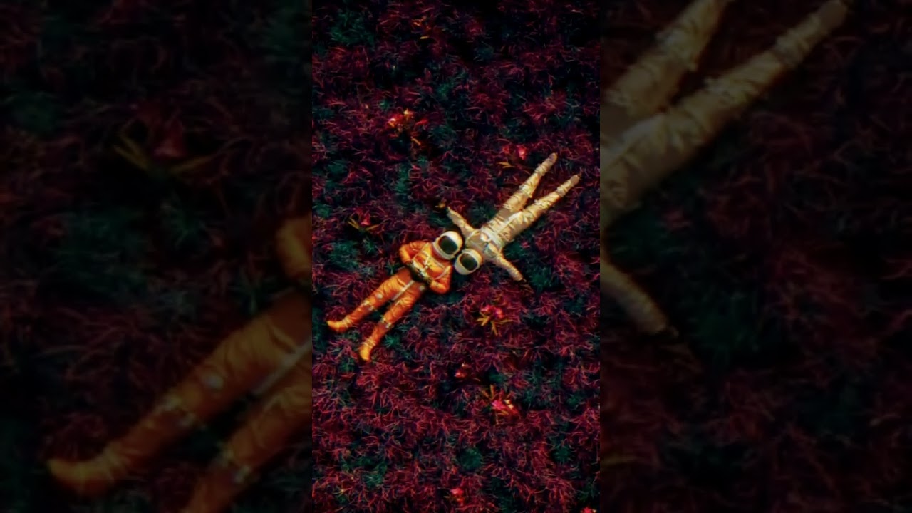 පිස්සුවක් මෙක විනස කාරි Youtube
