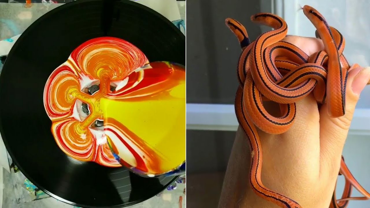 KIFFS ÉTRANGES - Curieusement satisfaisant #2 - YouTube