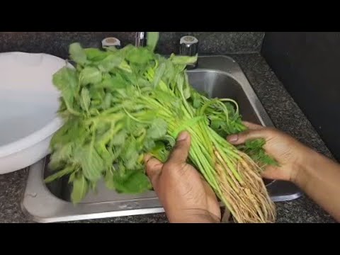 Terere vegetable recipe|Lenga lenga|Bitekuteku - YouTube