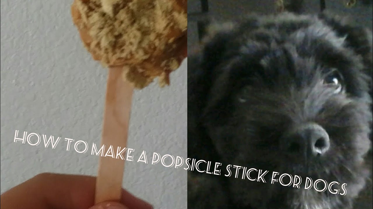 How to make a popsicle stick for dogs!!! - YouTube