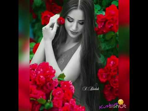 Vacab ücn status vidyo hər üzü gülənə xoşbəxt demə