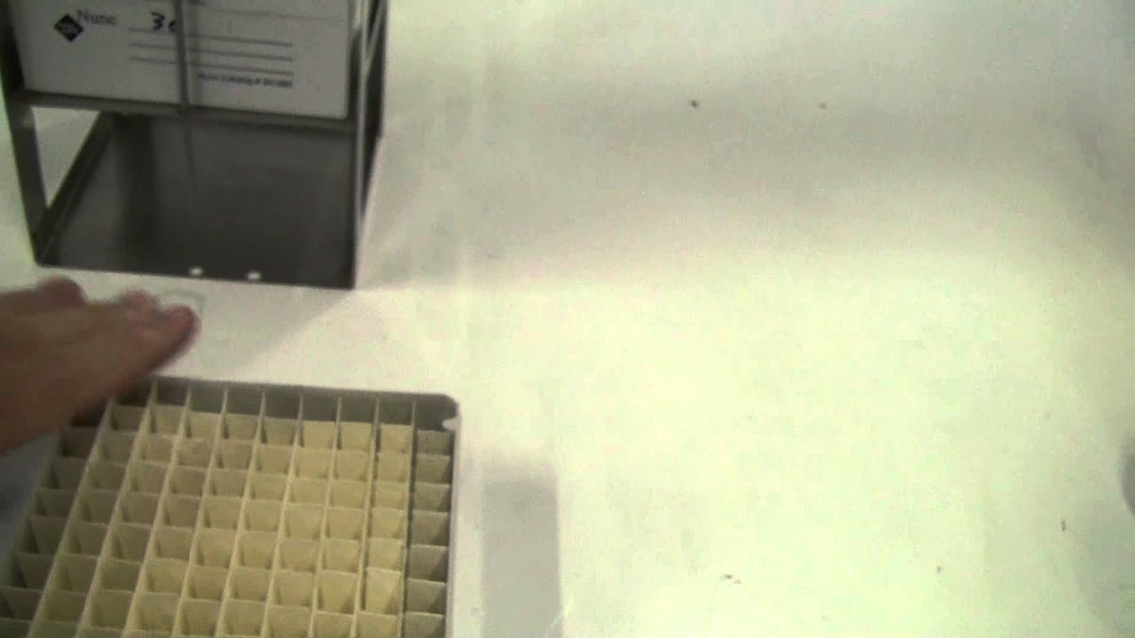 Nunc Freezer Rack with Cryogenic Storage Boxes - YouTube