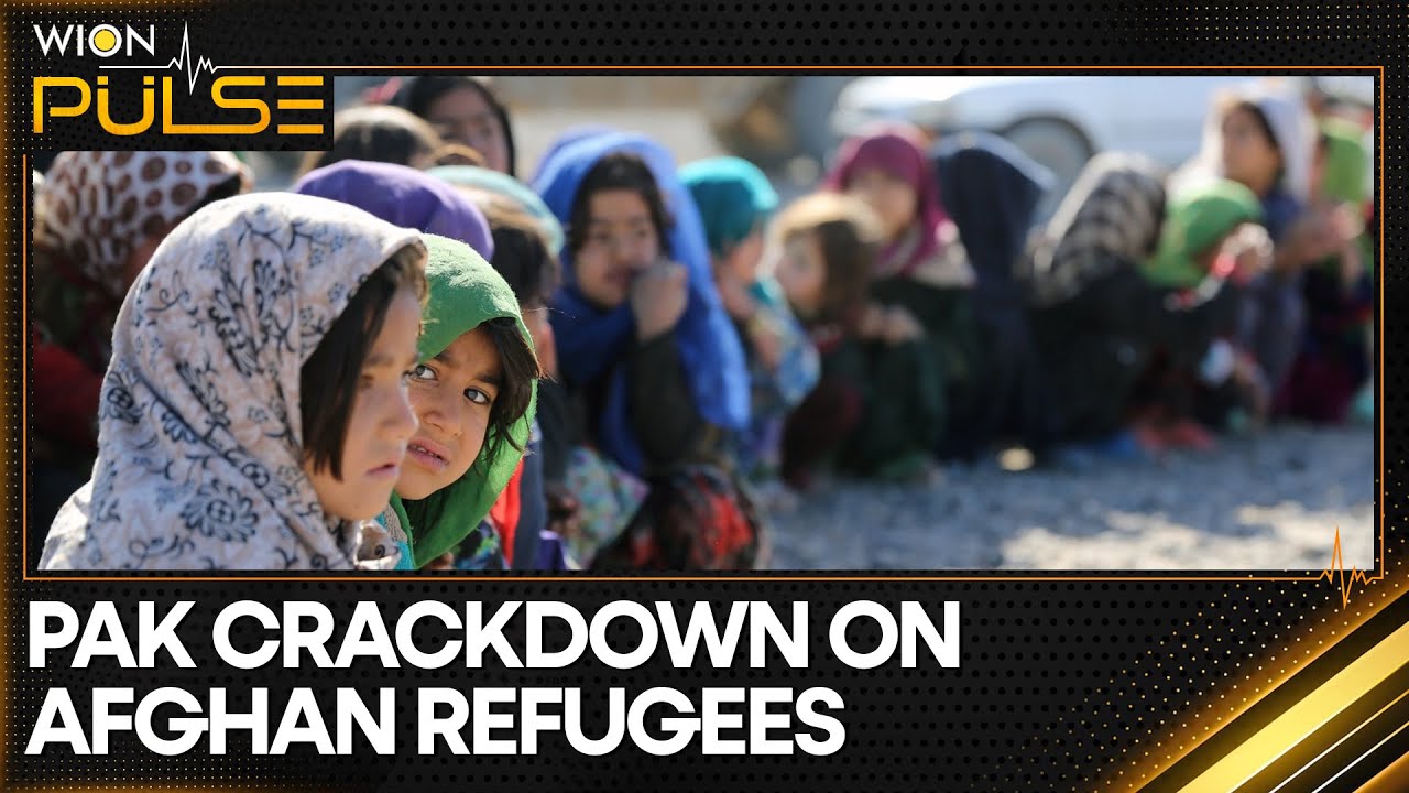 Pak approves eviction plan of illegally residing Afghan citizens | WION Pulse - YouTube