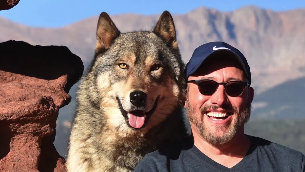 Walking With Wolves in Colorado - YouTube