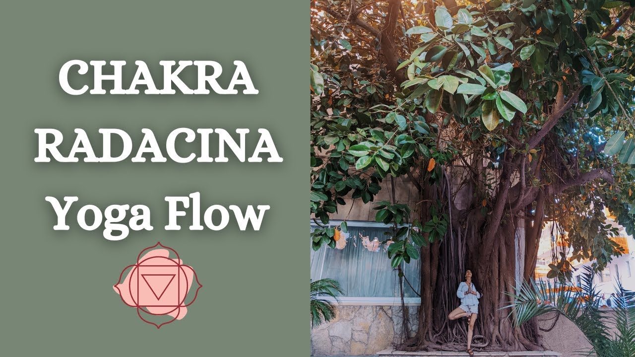 Yoga Pentru Chakra Radacina | Muladhara Flow - Intermendiari #chakre # ...