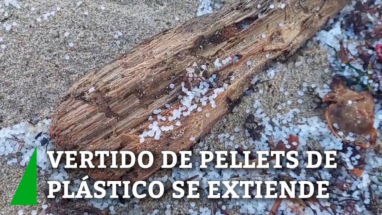 El vertido de pellets de plástico procedente del 'Toconao' se ha ...