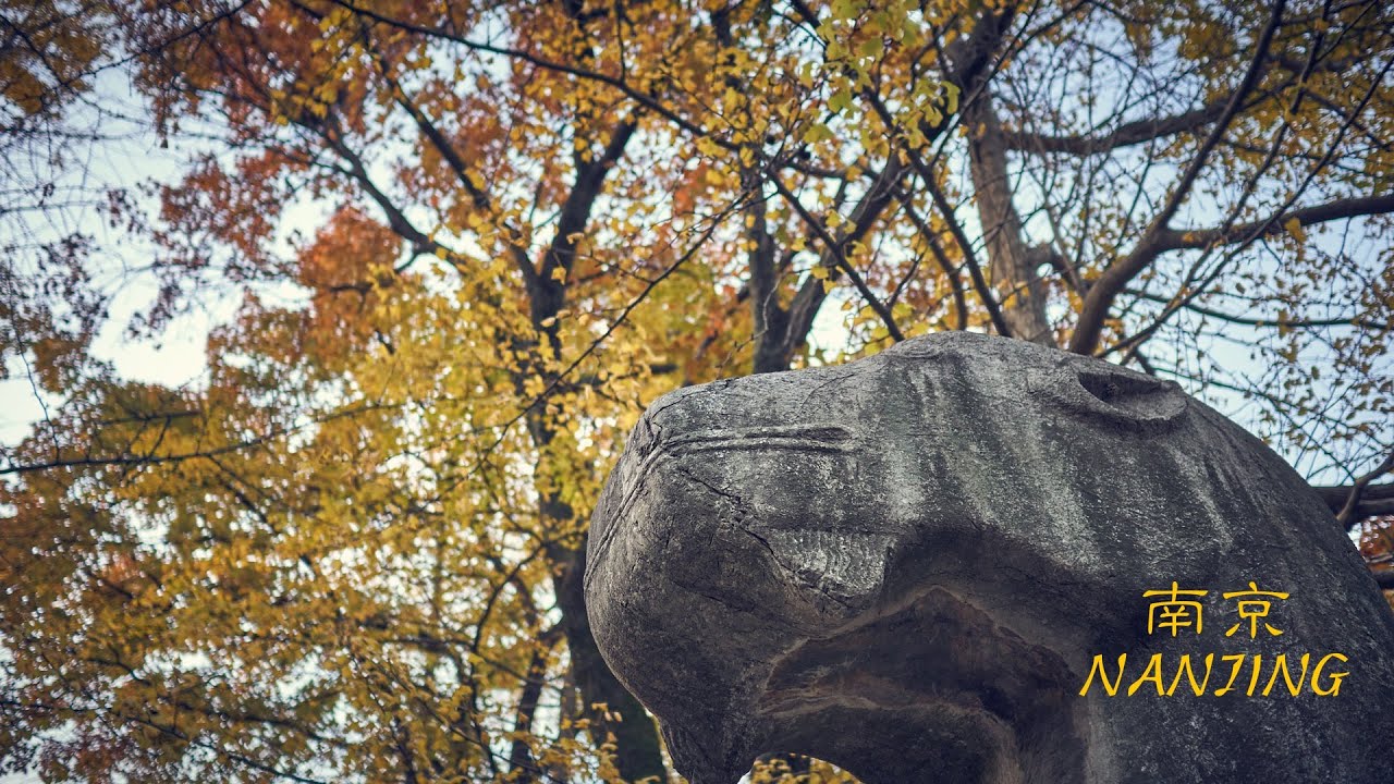 autumn in Nanjing～秋遊南京-棲霞山、明孝陵、頤和路 - YouTube