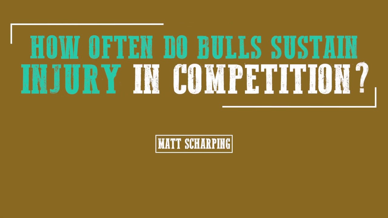 Matt Scharping: How Often Do Bulls Sustain Injury In Competition? - YouTube