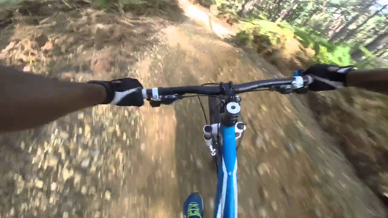 Swinley forest red run mountain biking - YouTube