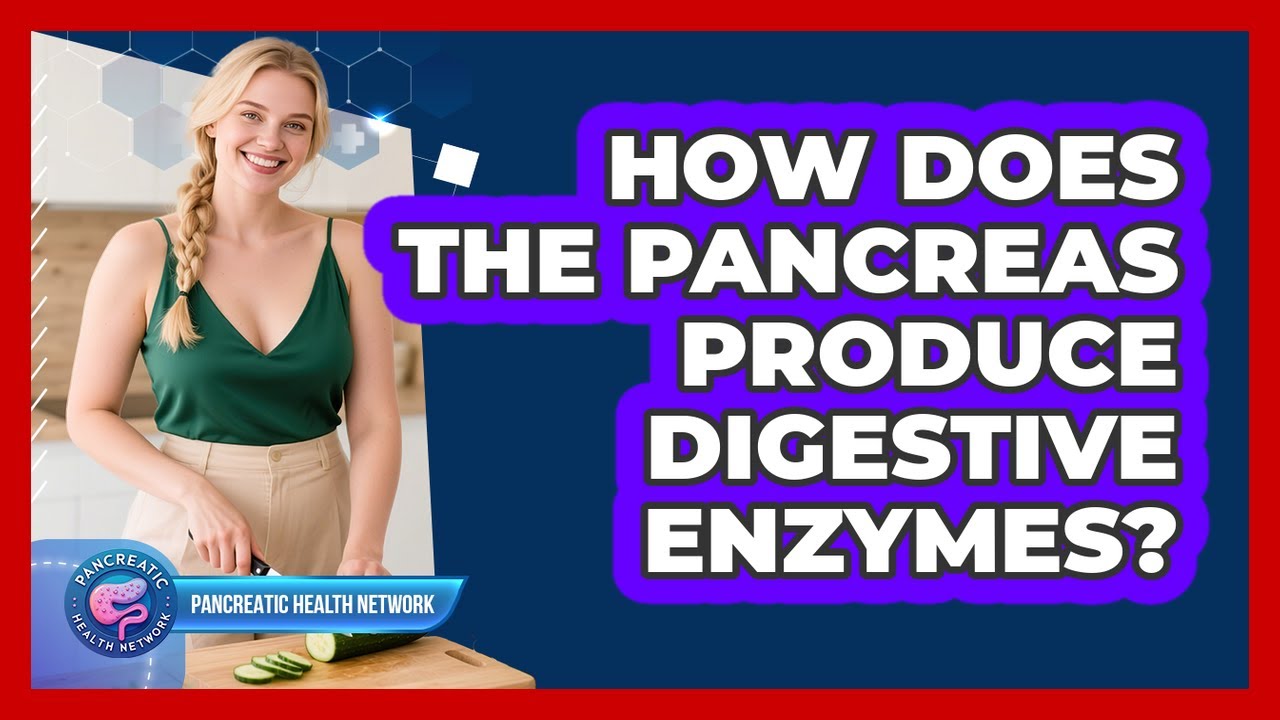 How Does the Pancreas Produce Digestive Enzymes? - YouTube