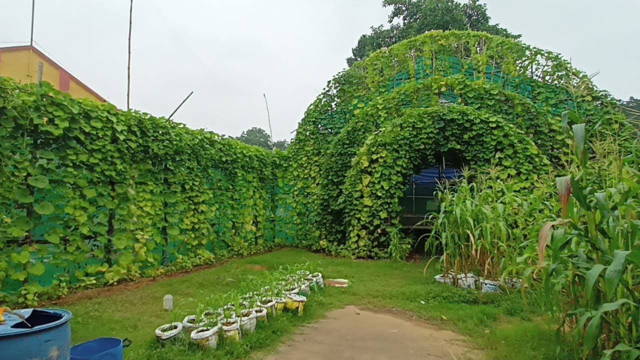 Puja Pandal at chittaranjan। Theme Environment conservation।pandal ...