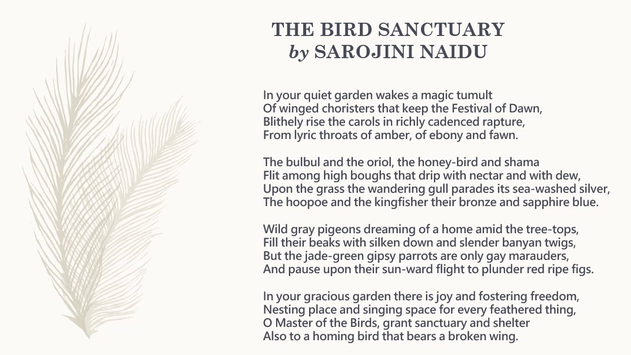 THE BIRD SANCTUARY by Sarojini Naidu (TEXT AND EXPLANATION IN ENGLISH ...