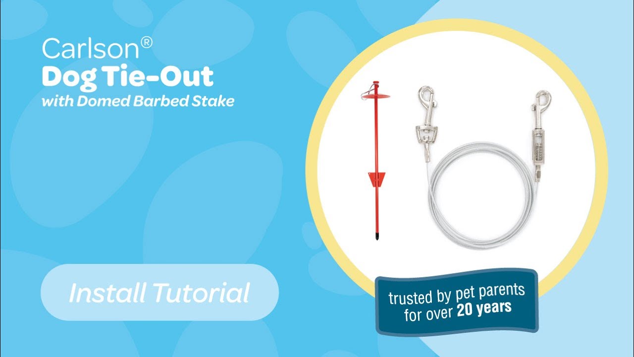 Carlson® Dog Tie Out (with Domed Barbed Stake) - Install Tutorial - YouTube