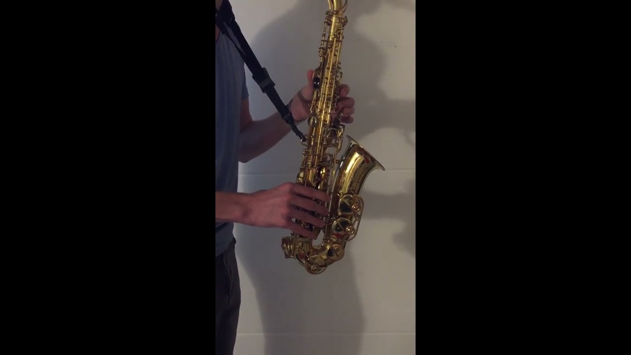Part Of Your World (Disney Arielle/ little mermaid) [Alto Saxophone ...