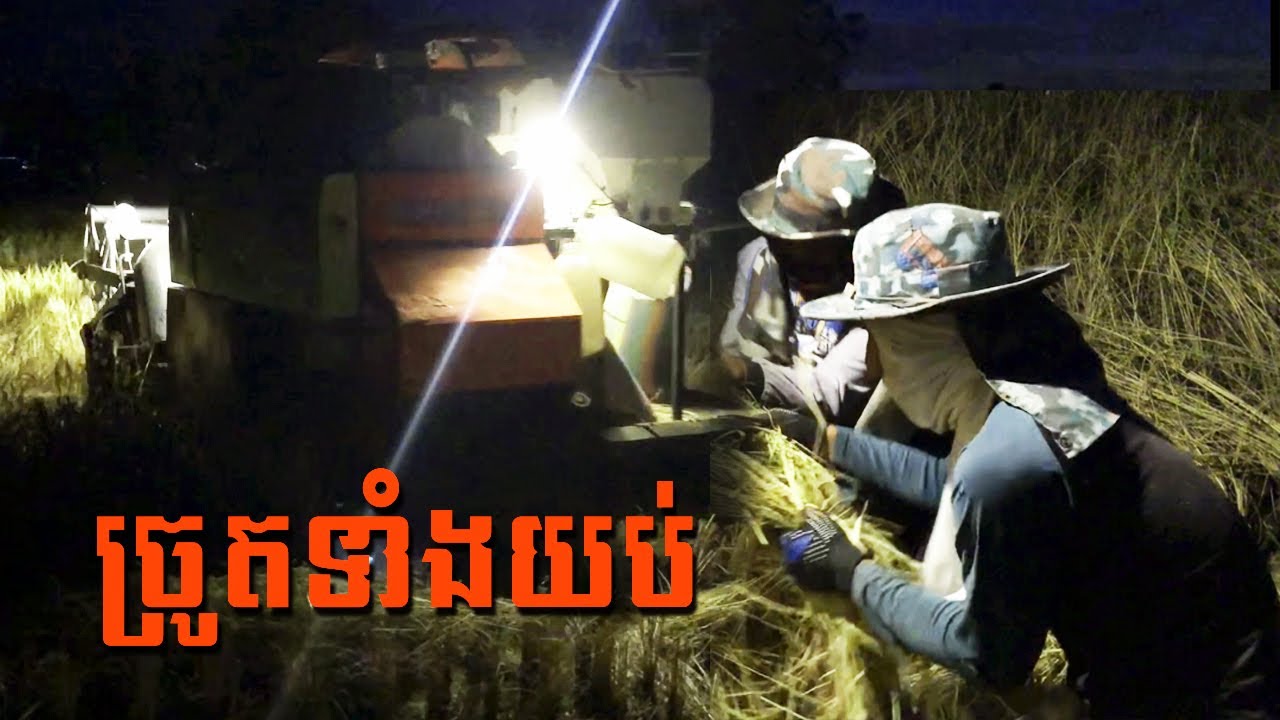 ច្រូតទាំងយប់ ពិបាកណាស់! - YouTube