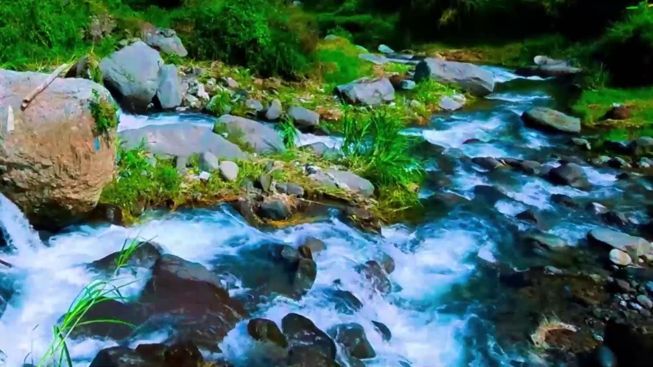 Soothing Mountain Stream Sounds Nature Water Flow for Healing and Calm ...