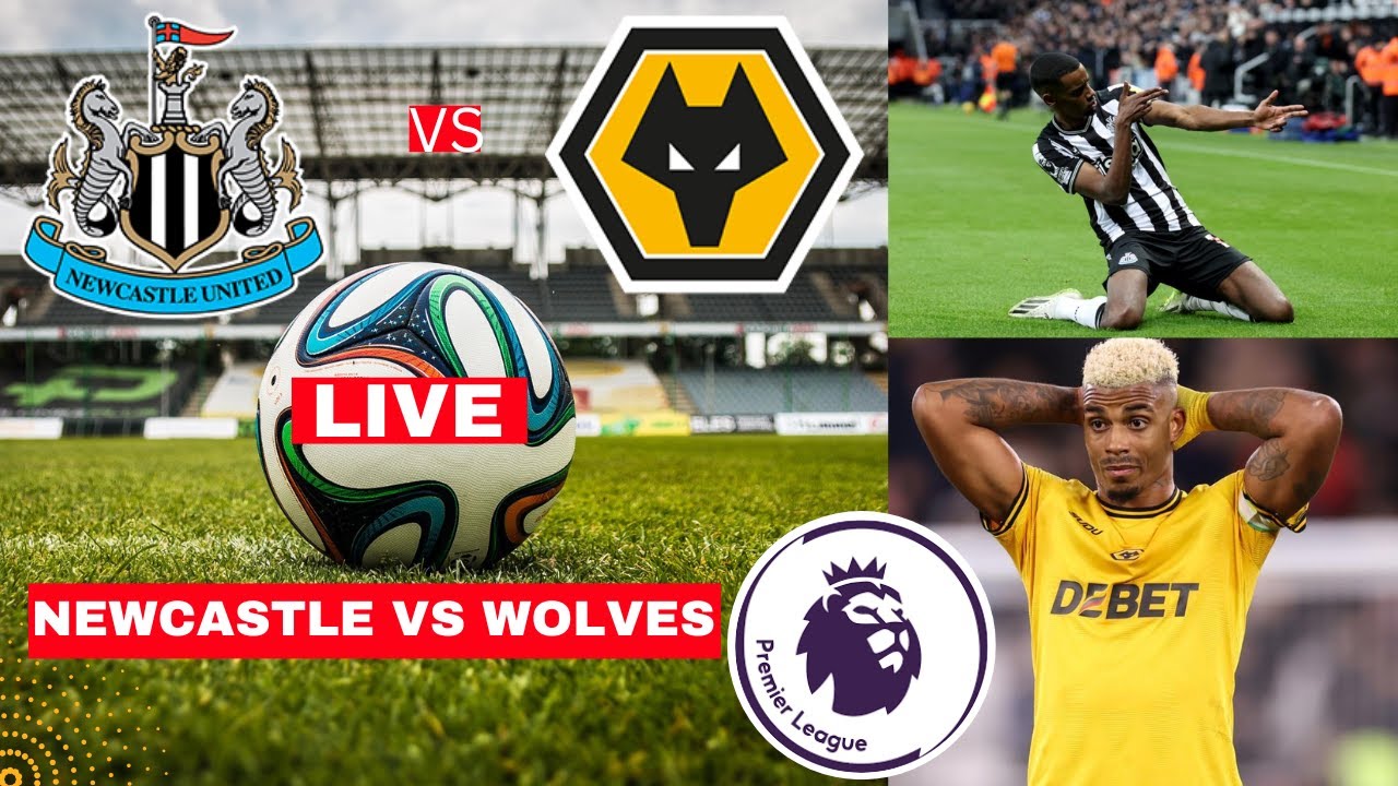 Newcastle vs Wolves 3-0 Live Stream Premier League EPL Football Match ...