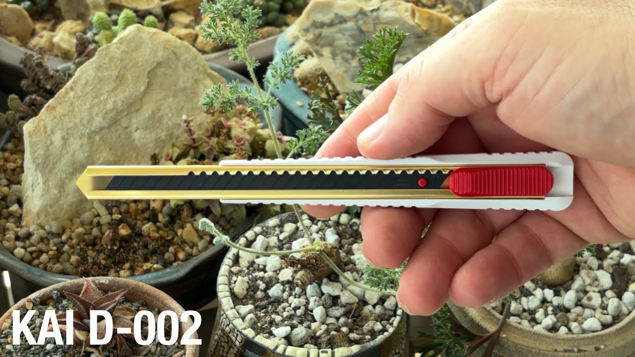 KAI D-002 Review: Long Reach Precision Cutter - YouTube