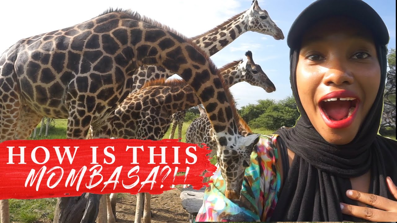 Unbelievable Nguuni Nature Sanctuary Mombasa Kenya | Things To Do In ...