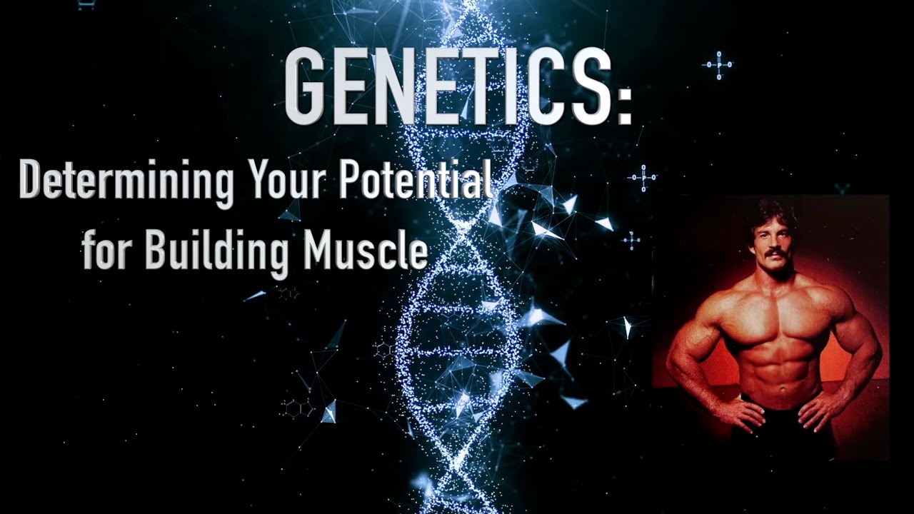 MIKE MENTZER: GENETICS (DETERMINING YOUR POTENTIAL FOR BUILDING MUSCLE ...