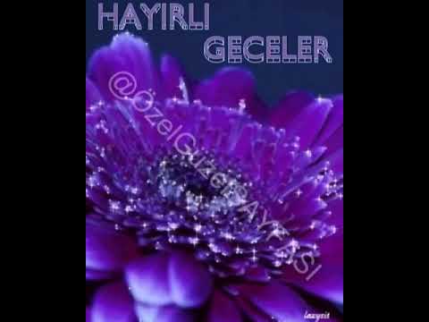 Hayırlı geceler