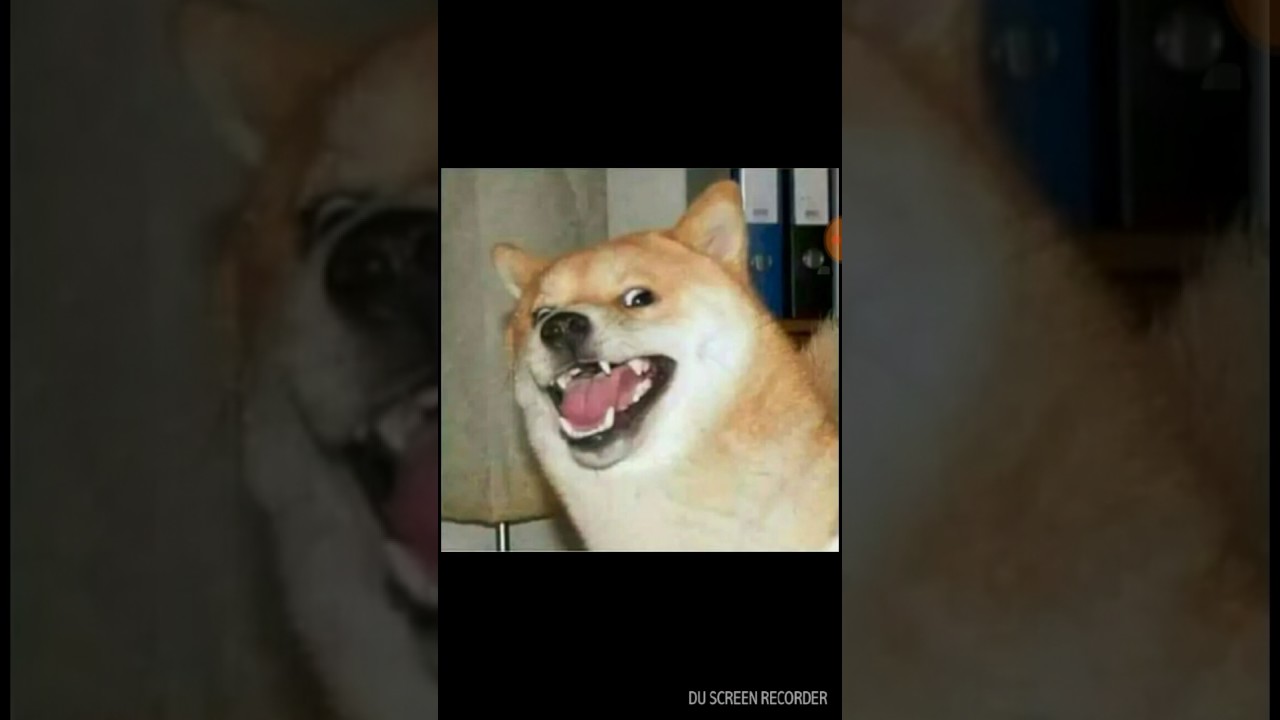 AkoSiDogie Face Revealed!!! (Pictures with Proof) (Part 1) - YouTube