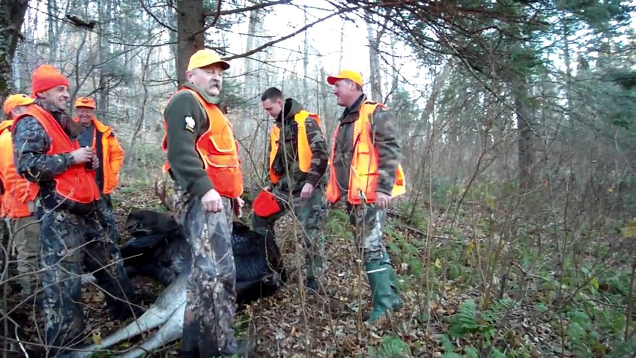 2010 MOOSE HUNT - The Polish Boys - YouTube