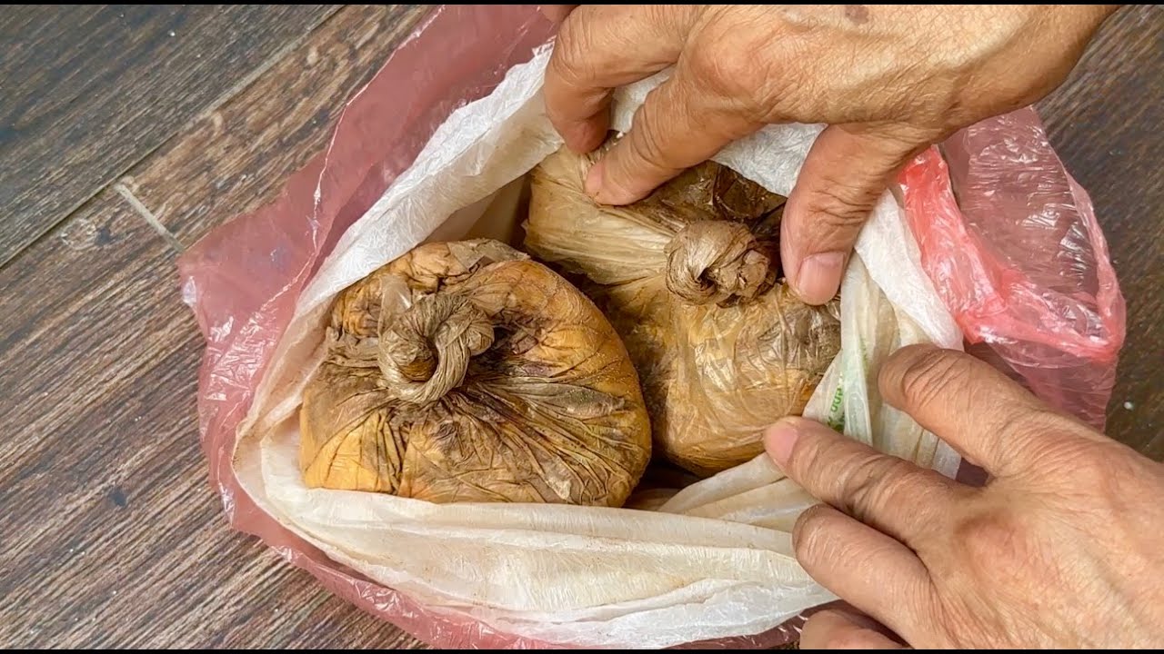 Cách thả thính câu lục đầu cần ! Touch Fishing - YouTube