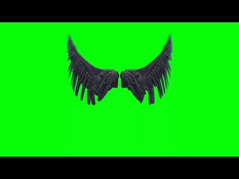 Green Screen Angel and Demon Wings Video Effects