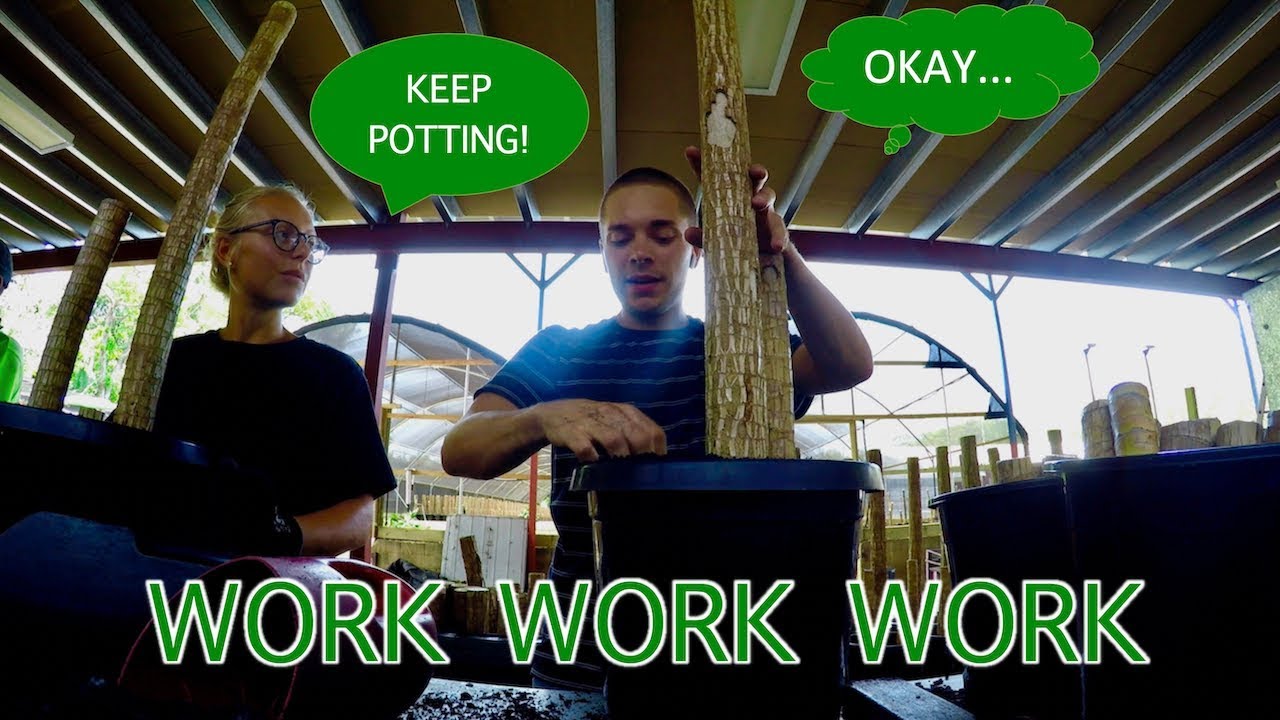 GETTING OUR HANDS DIRTY IN AUSTRALIA: WORK WORK WORK | WNDRFLW | 014 ...