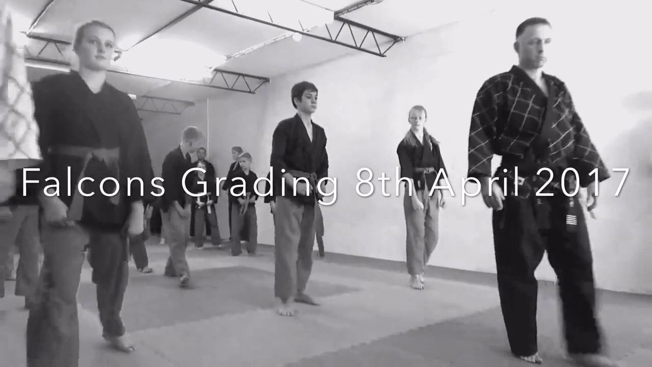 Kinetic Martial Arts - Falcons Grading - 8th April 2017 - Alia Lambert ...