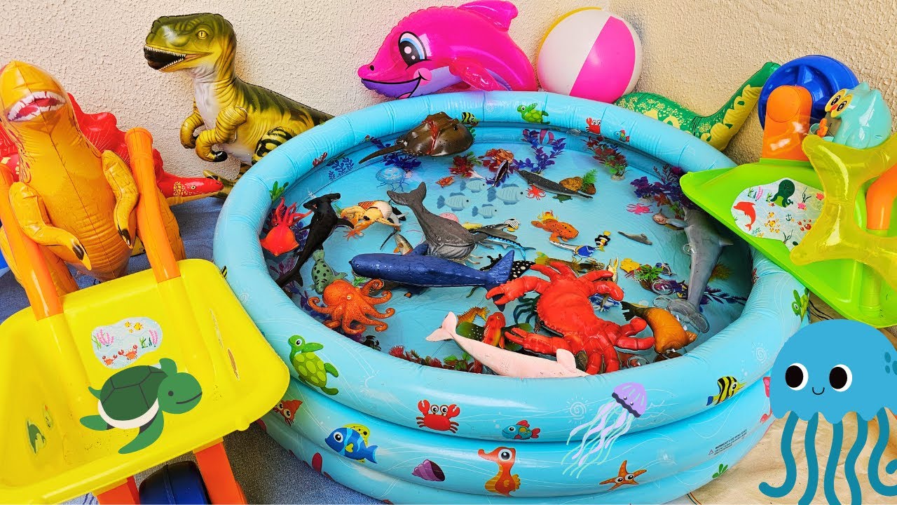 Explore the Amazing World of Sea Animals: Fun Learning for Kids ...