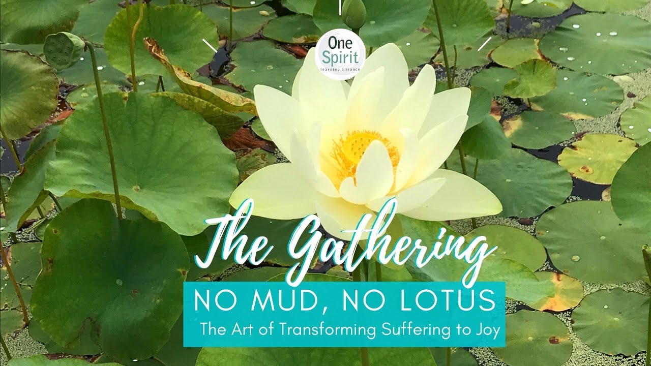 The Gathering, October 21, 2021: No Mud, No Lotus -- The Art of ...