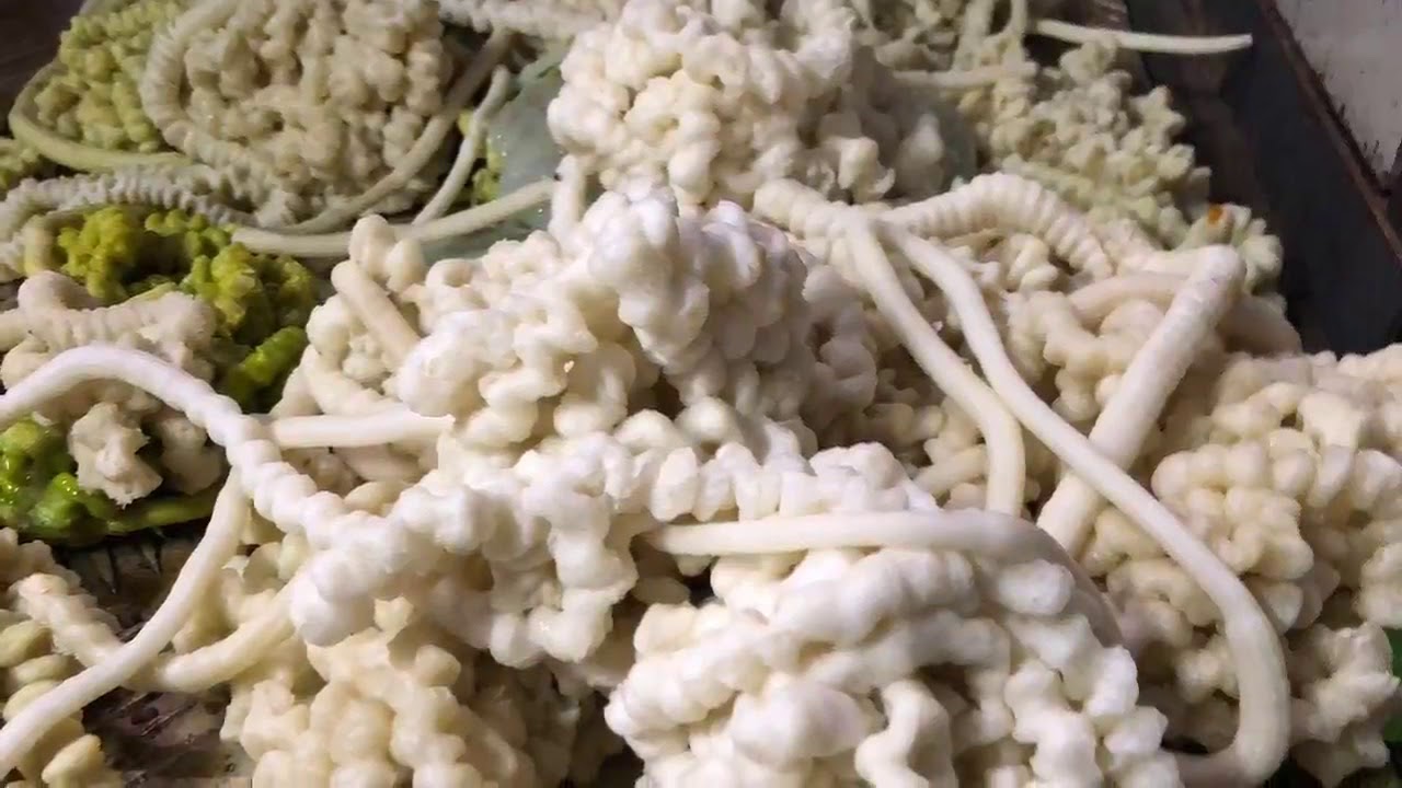 Purging screw and hotrunner in a fast and easy way with Ultra Plast ...