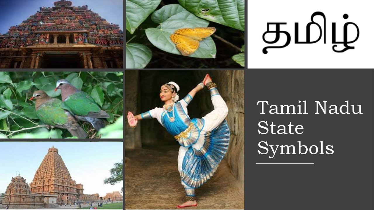 Tamil Nadu State Symbols - YouTube