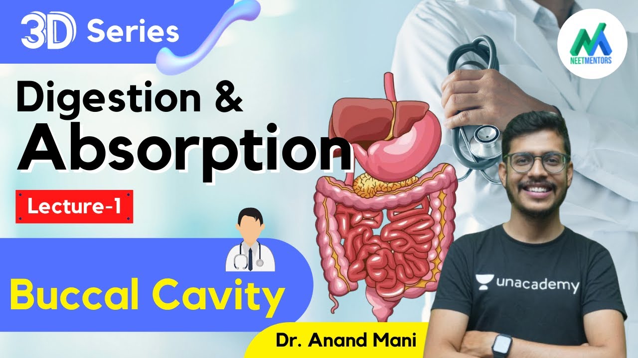 L1: Buccal Cavity | Digestion & Absorption in 3D | NEET Biology | NEET ...