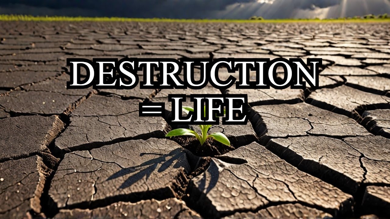 The Unsettling Truth: Why Destruction is ESSENTIAL for Life - YouTube