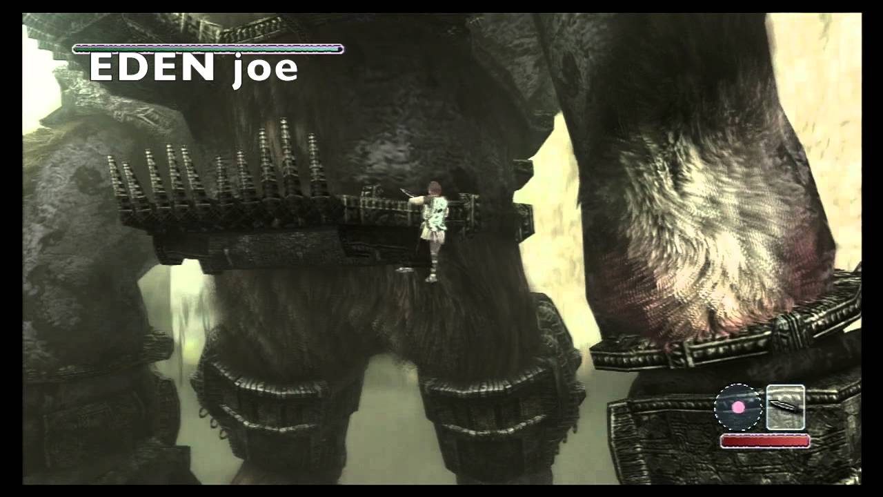 Colossal Tuesday #2: Back Racks??? - YouTube