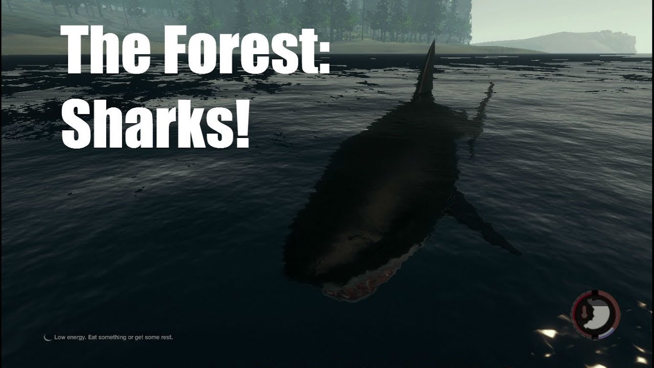 The Forest Alpha 0.02 "Sharks!" - YouTube
