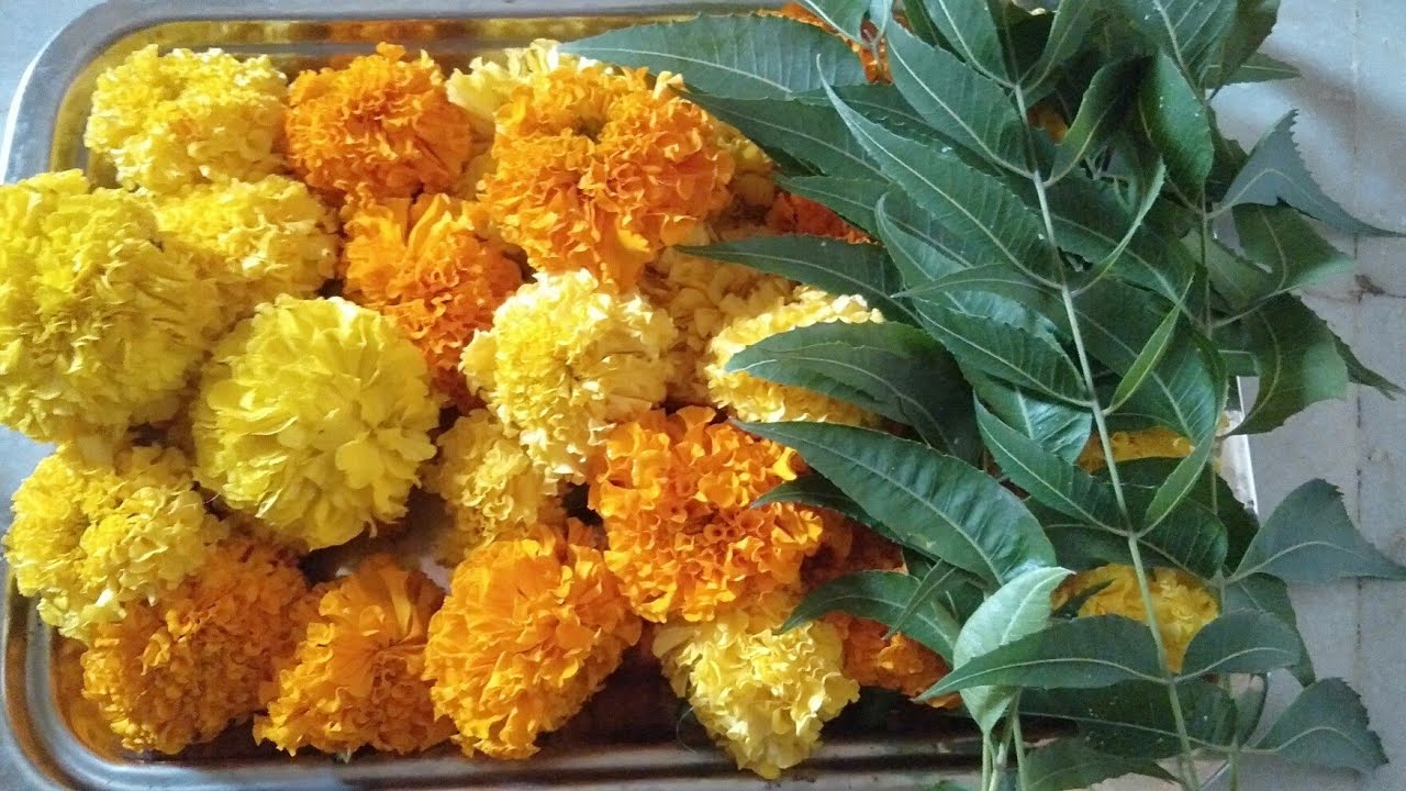 marigold flowers with easy decoration||#flowersdecoration - YouTube