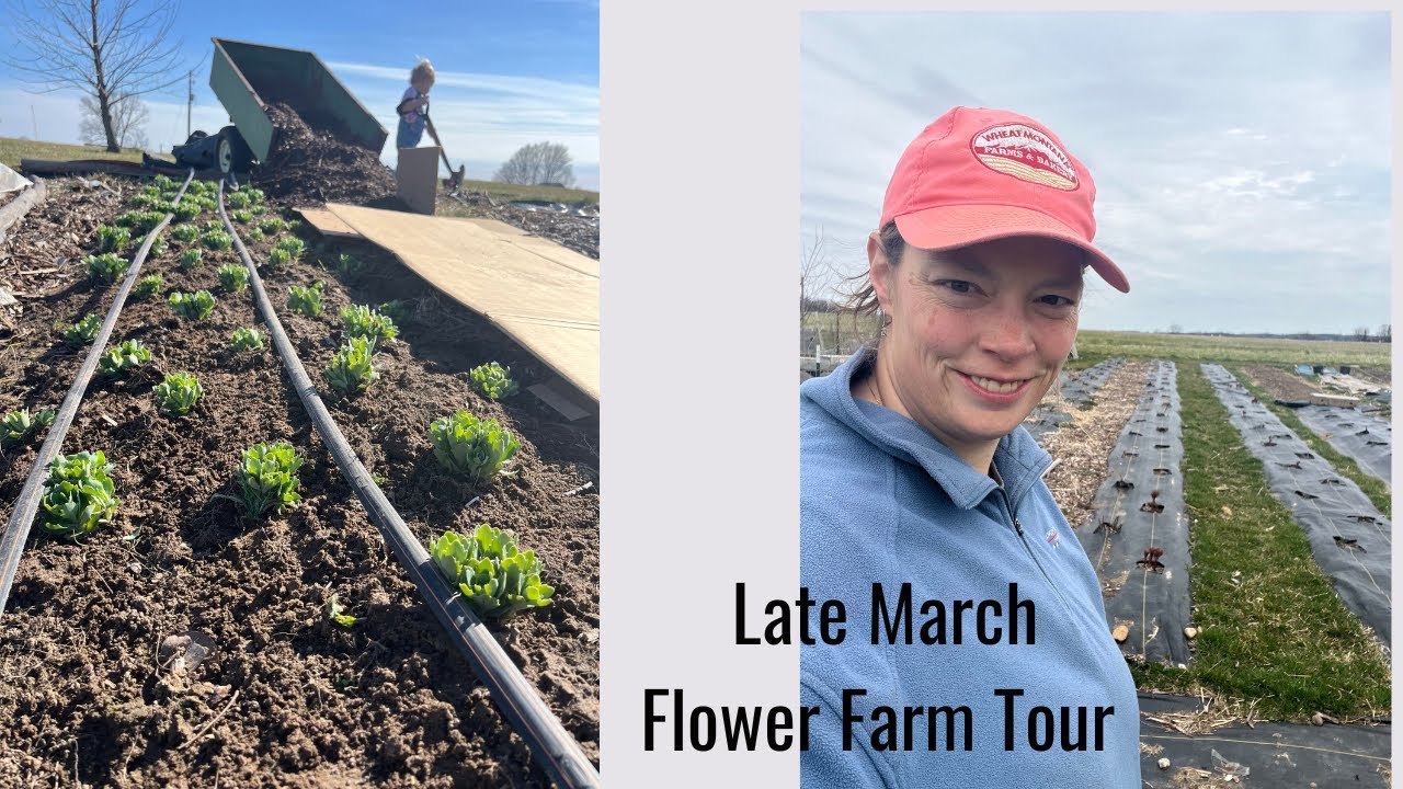 Late March Farm Tour on my Zone 6b Flower Farm - YouTube