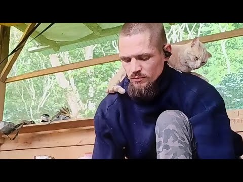 this is a yogi - cat!