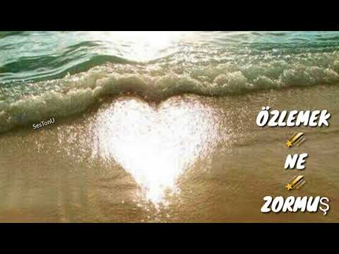 ÖzLeMeK ne zormuş (ŞİİR)