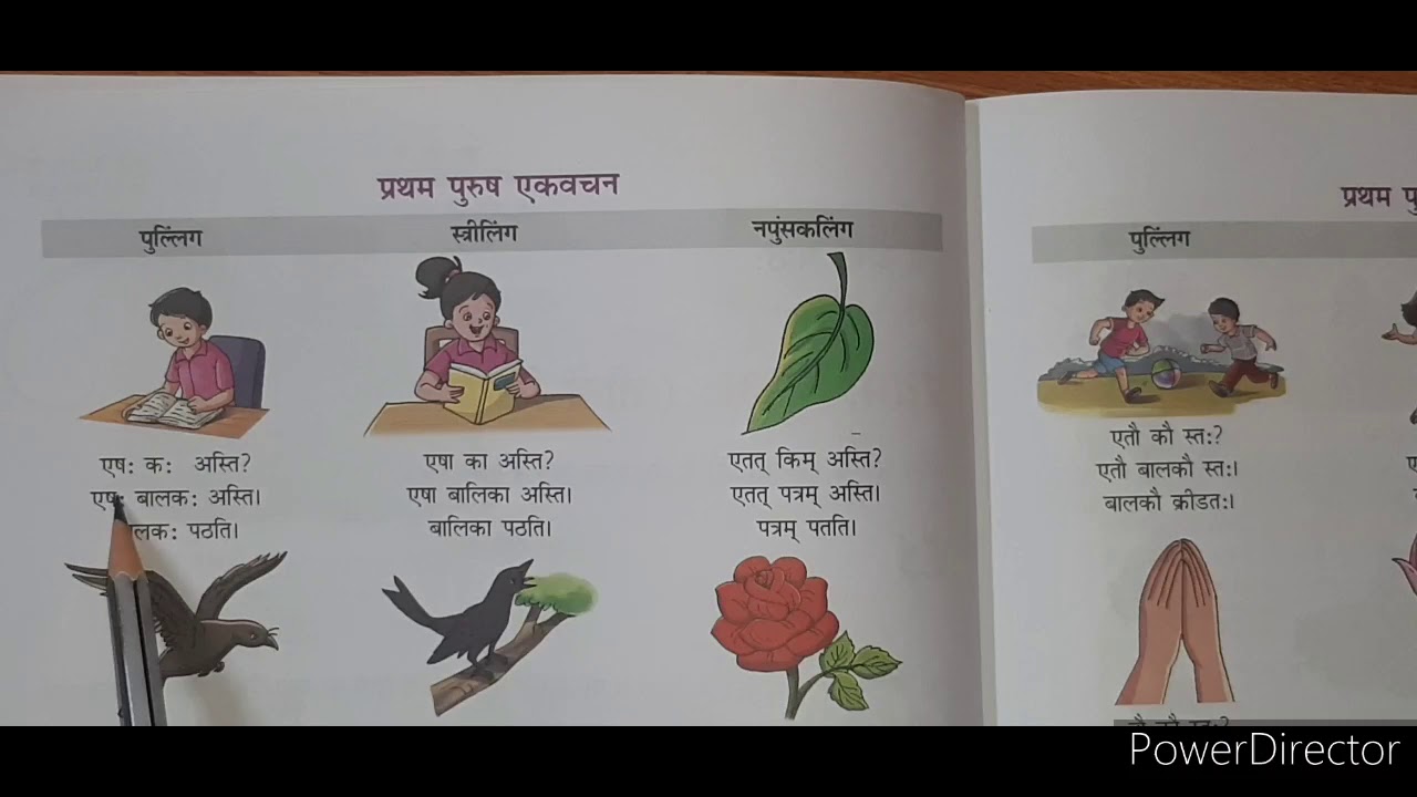Divyam class 6 chapter 5 - YouTube