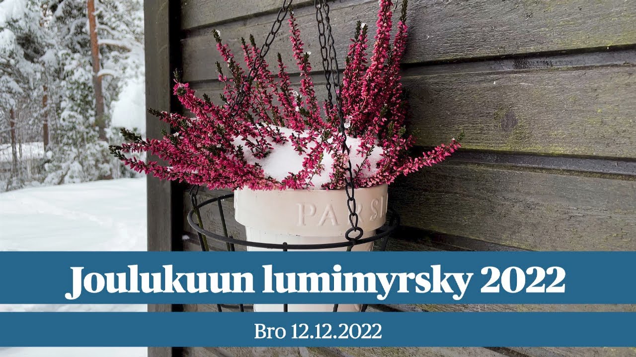 Joulukuu 12 2022 - YouTube
