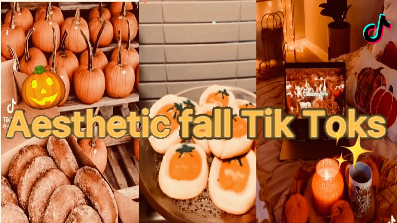 Aesthetic Fall Tik Tok Competition!!!🎃 🍁 - YouTube