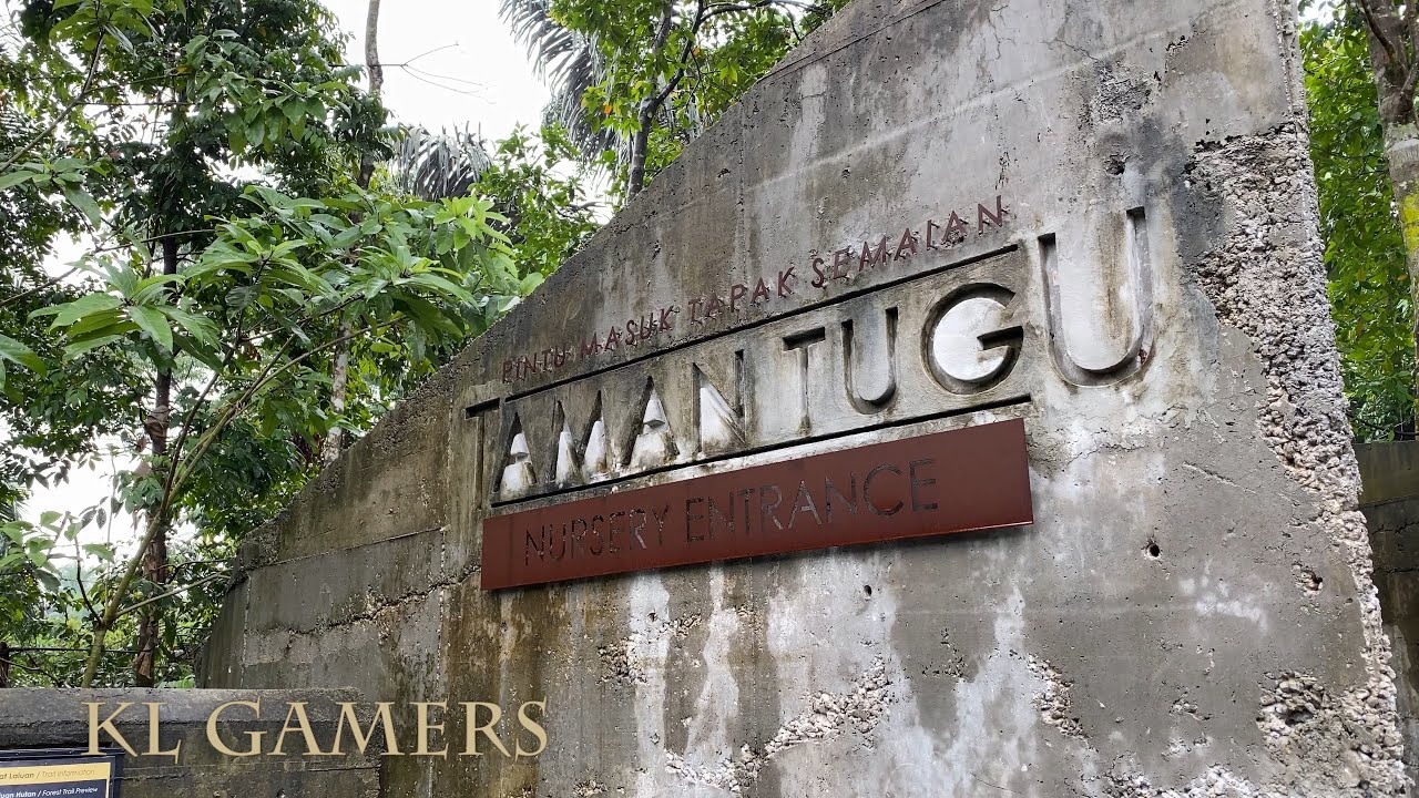 Taman Tugu Hiking Forest Trail 4K Walk - YouTube