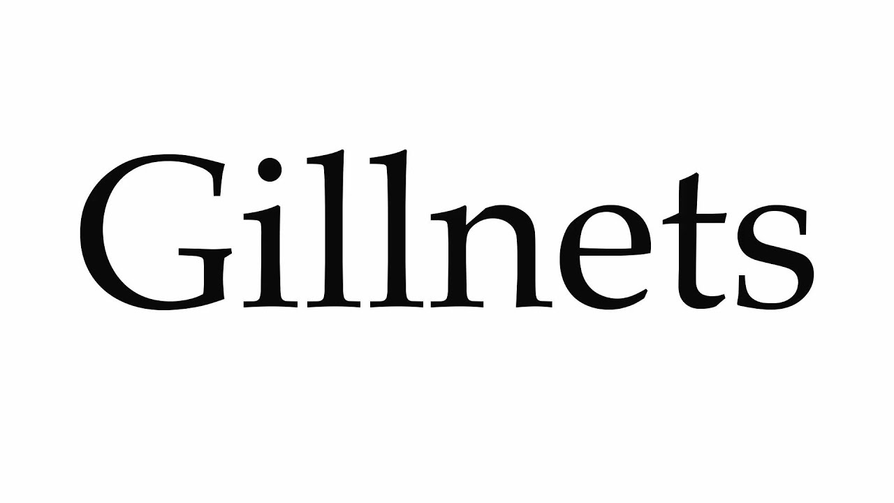 How to Pronounce Gillnets - YouTube